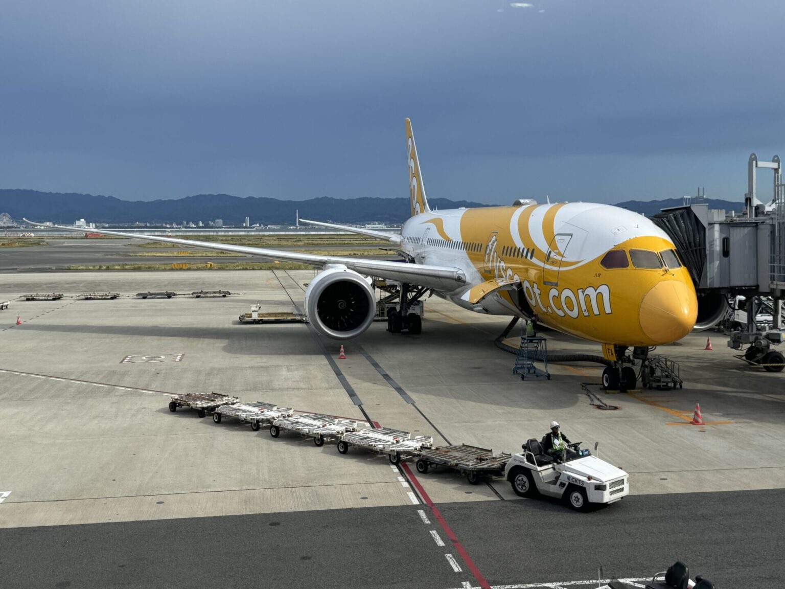 子連れシンガポール旅行記2024 | おおたふみおの中小企業診断士・岡山起業家ブログ