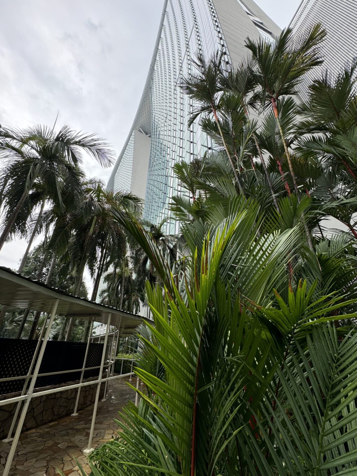 子連れシンガポール旅行記2024 | おおたふみおの中小企業診断士・岡山起業家ブログ